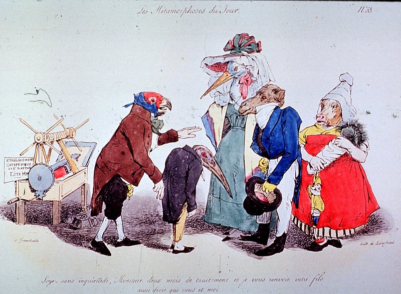 Orthopedic Public Domain Images | Free Photos, PNG Stickers, Wallpapers ...