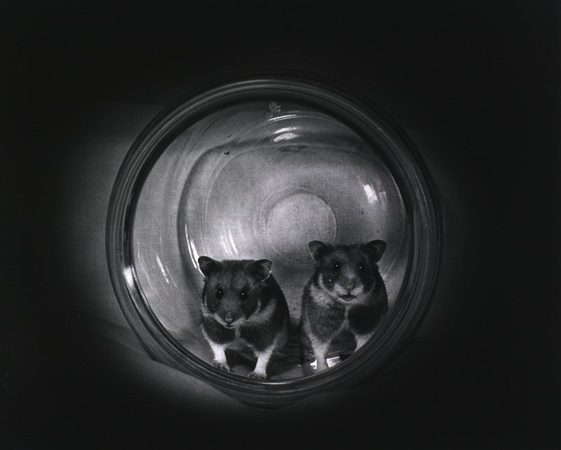 Image+of+0 Public Domain Cc0 Images | Free Photos, PNG Stickers ...