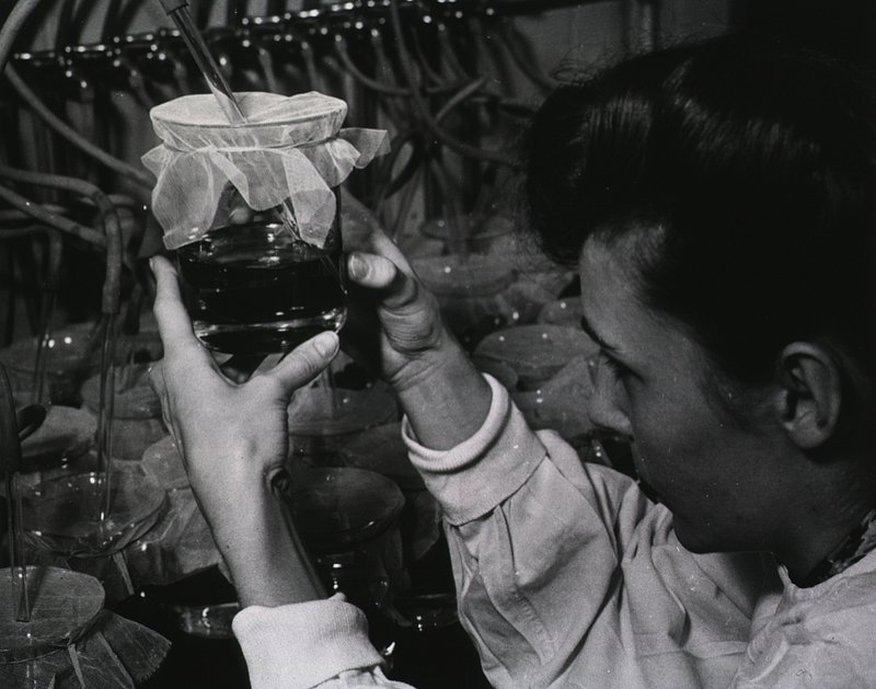 NIH- NIAID Division Infectious Diseases | Free Photo - rawpixel