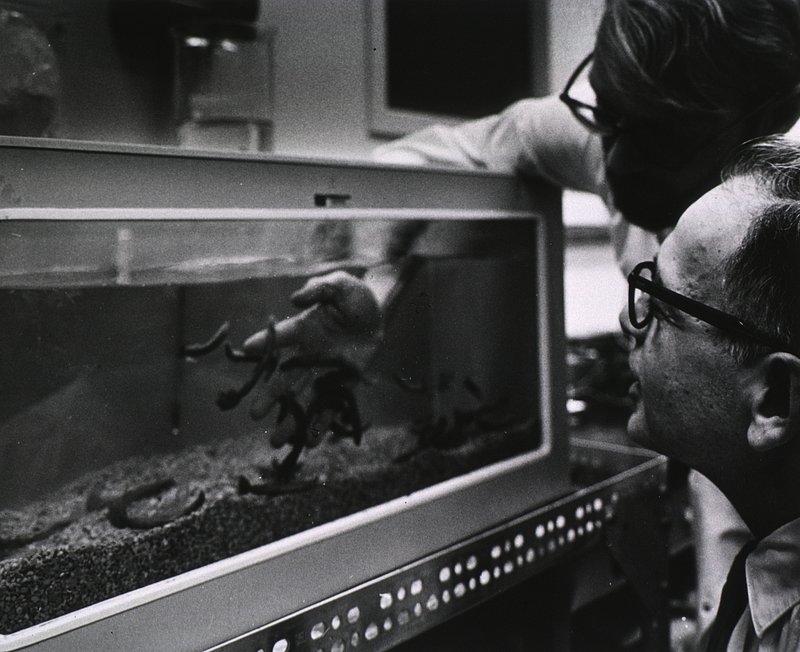 Tank Laboratory Images | Free Photos, PNG Stickers, Wallpapers ...