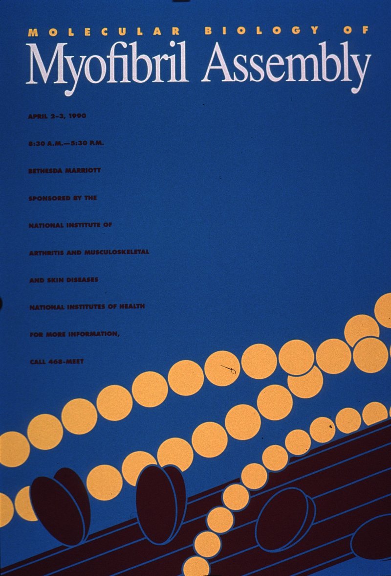 Research+flyers Color Brochure Images | Free Photos, PNG Stickers ...