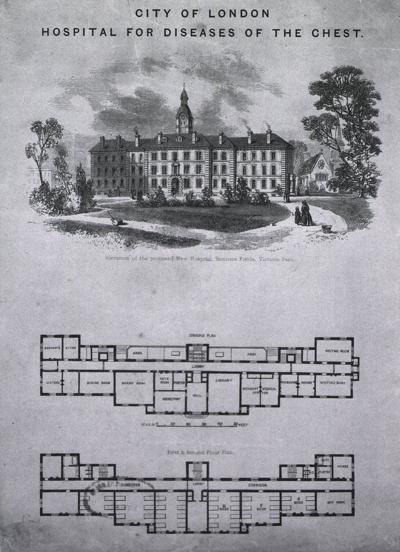 Hospital Chart Public Domain Cc0 Art | Download Free Original Artworks ...