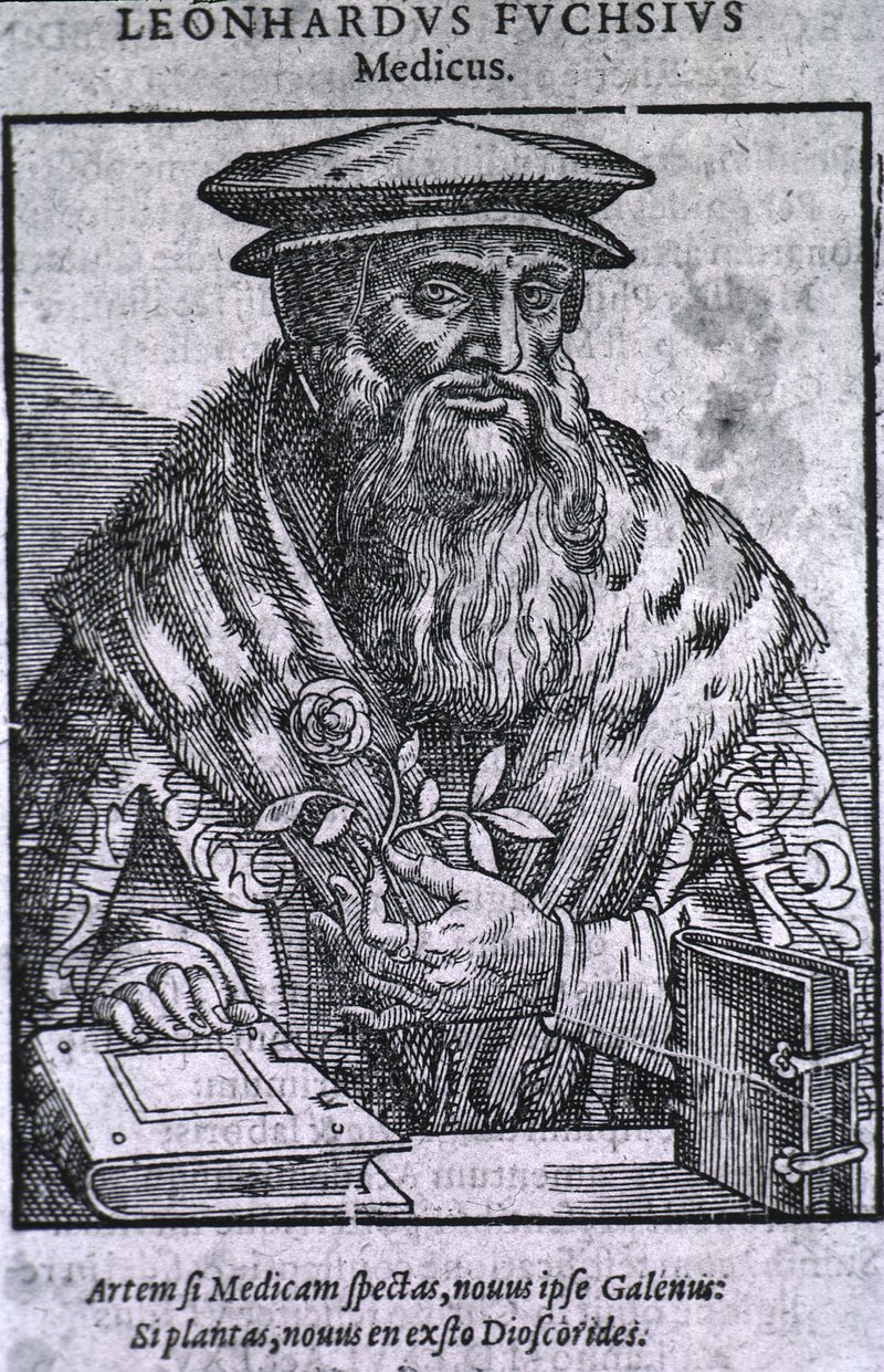 Knowledge Woodcut Images | Free Photos, PNG Stickers, Wallpapers ...