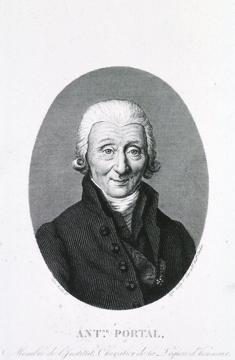 Ant. Portal | Free Photo Illustration - rawpixel