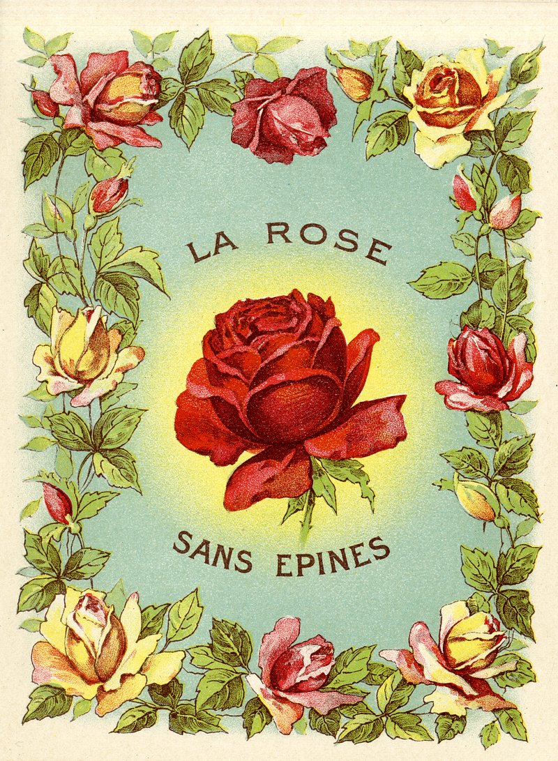 Public Domain Drugs Cc0 Vintage Art Images | Free Photos, PNG Stickers ...