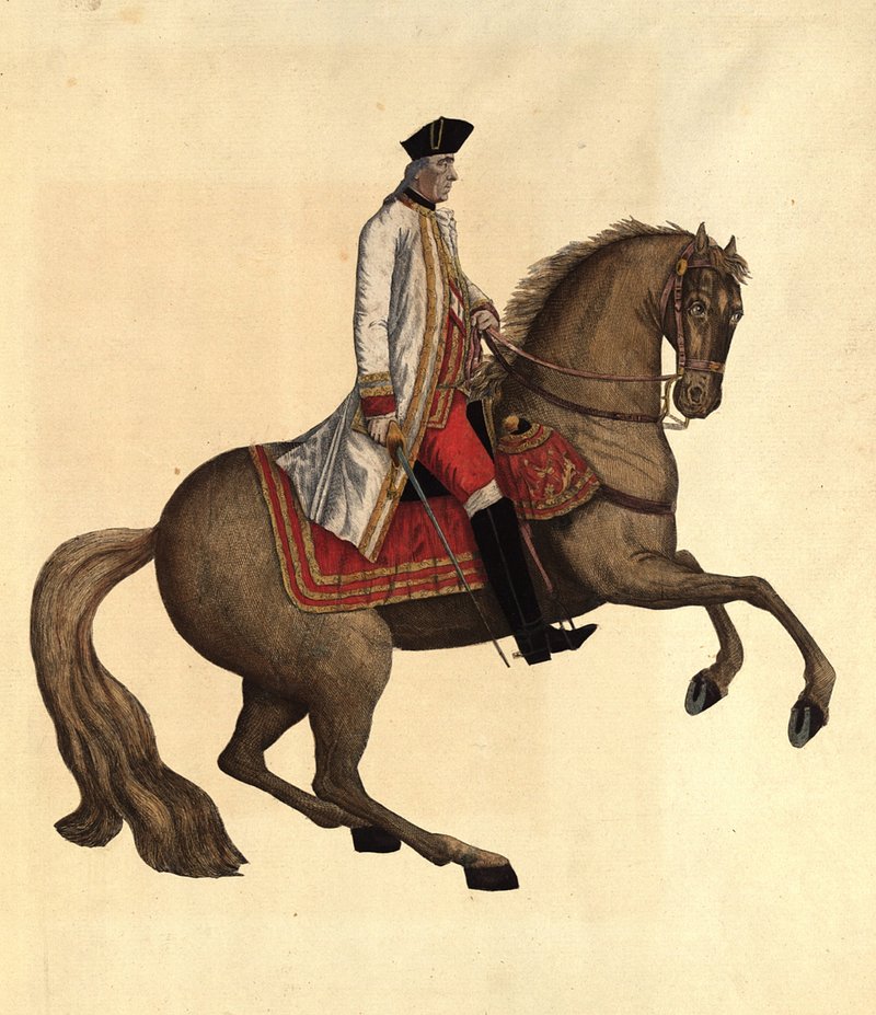 Hieronymus Cc0 Images | Free Photos, PNG Stickers, Wallpapers ...