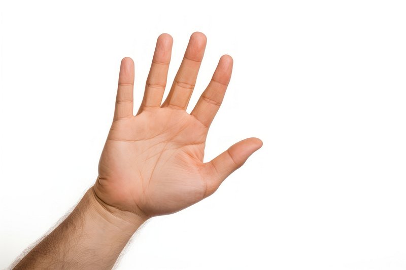 Tumb Images | Free Photos, PNG Stickers, Wallpapers & Backgrounds ...