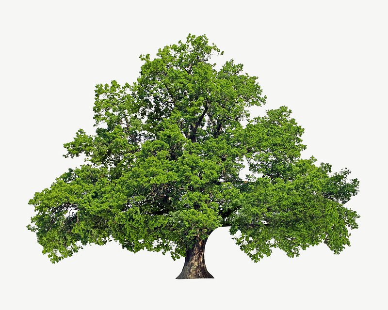Lone tree, botanical collage element | Premium PSD - rawpixel
