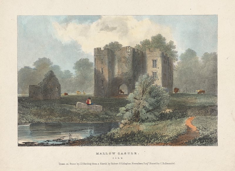 Mallow Castle | Free Photo - rawpixel