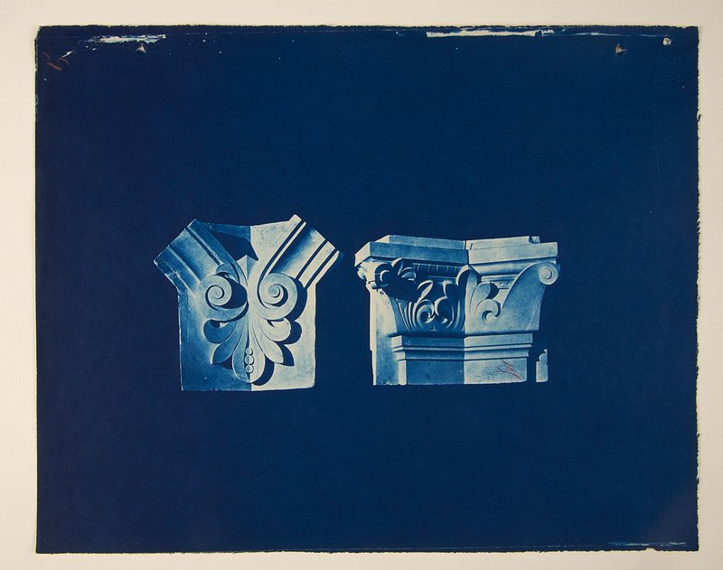 Cyanotype Images | Free Photos, PNG Stickers, Wallpapers & Backgrounds ...