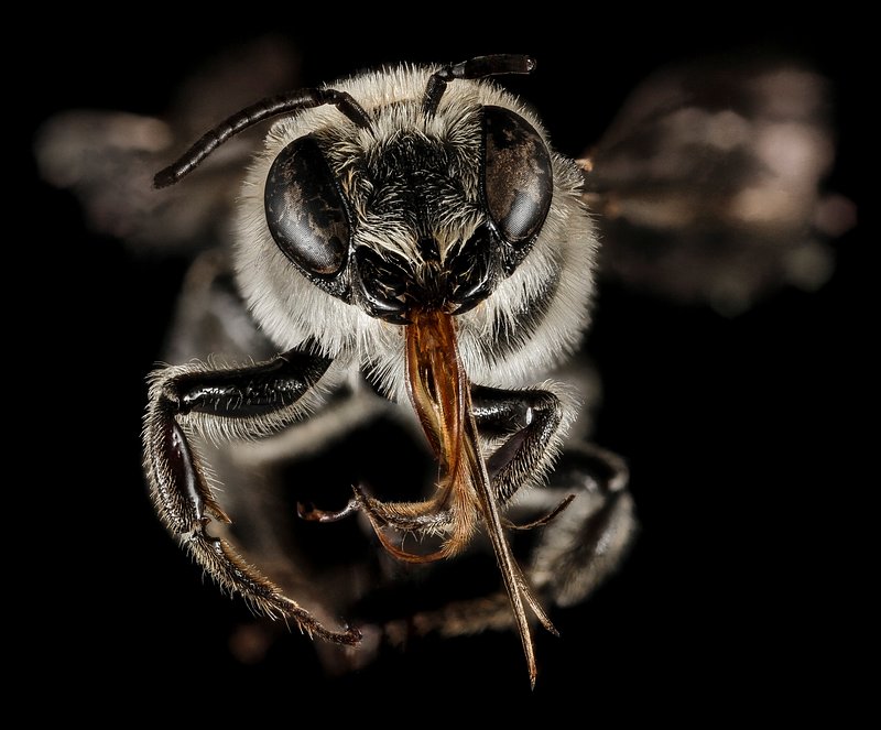 Breland Images | Free Photos, PNG Stickers, Wallpapers & Backgrounds - rawpixel