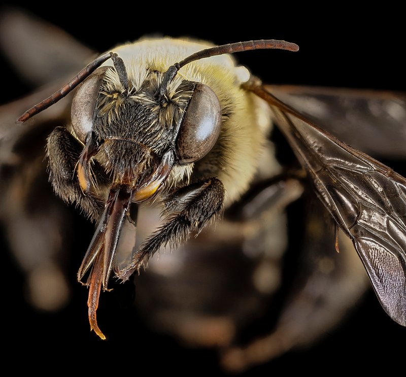 Free Vectors, PNGs, Mockups & Backgrounds | rawpixel