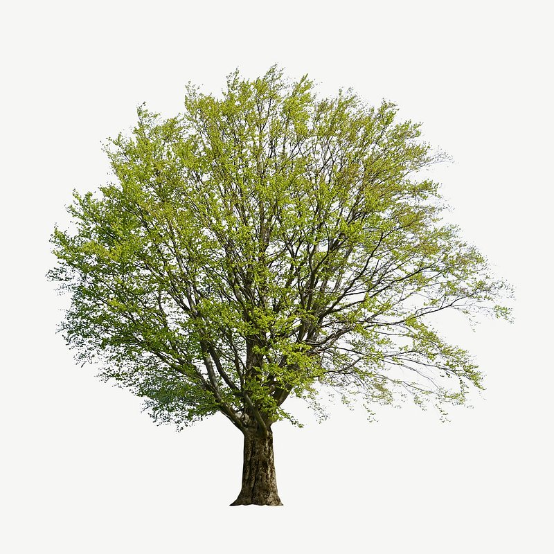 Nature green tree collage element | Free PSD - rawpixel