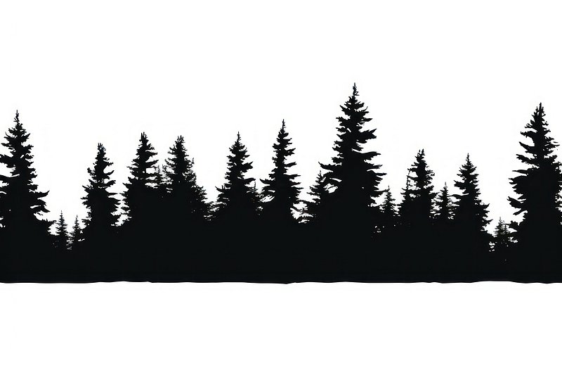 Pine Forest Silhouette Images | Free Photos, PNG Stickers, Wallpapers ...