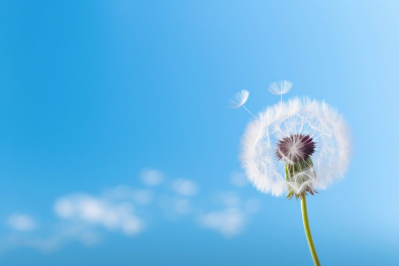 Simple Desktop Wallpaper Images | Free Photos, PNG Stickers, Wallpapers ...