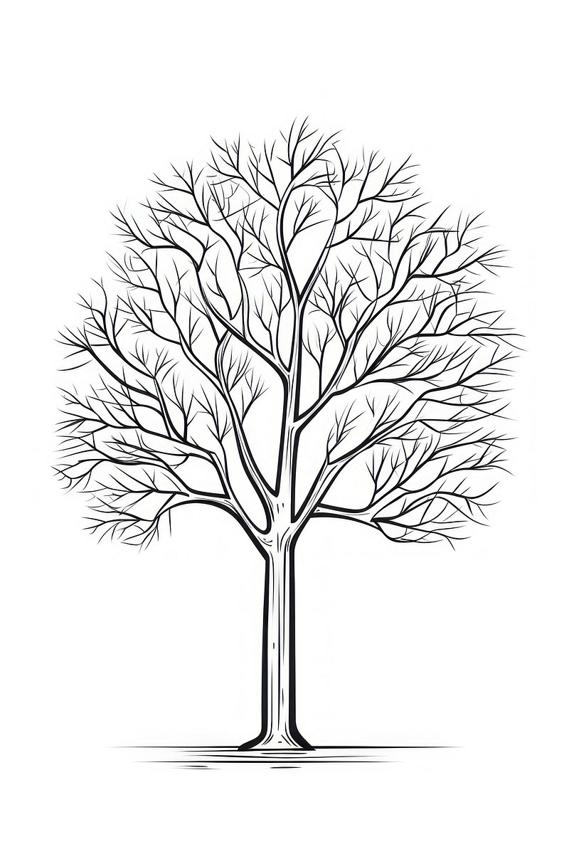 Tree sketch drawing white. AI | Free Photo Illustration - rawpixel