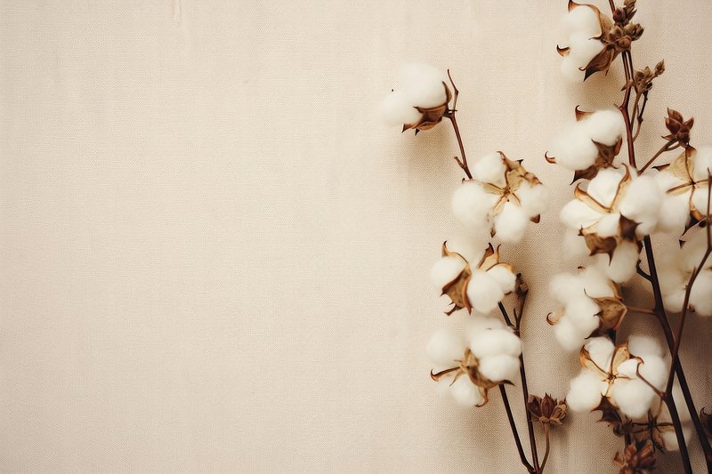 Aesthetic background backgrounds cotton fragility. | Premium Photo ...