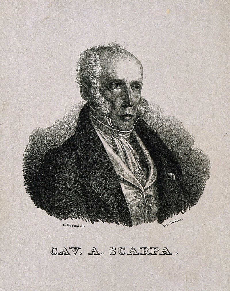 Scarpa Images | Free Photos, PNG Stickers, Wallpapers & Backgrounds ...