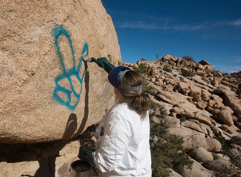 Applying Elephant Snot Graffiti Remover | Free Photo - rawpixel