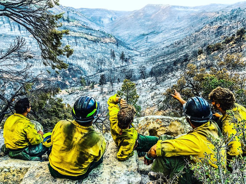 Wildland Fire Images | Free Photos, PNG Stickers, Wallpapers ...