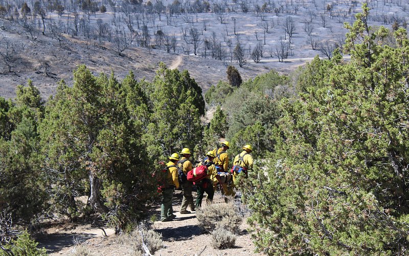 Medical Emergency Training Simulation. Wildland | Free Photo - rawpixel