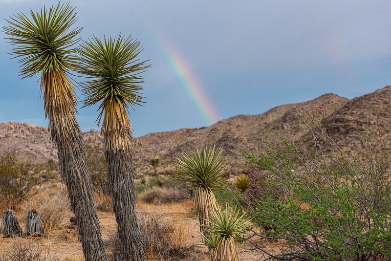 Wilderness Rain Images | Free Photos, PNG Stickers, Wallpapers ...