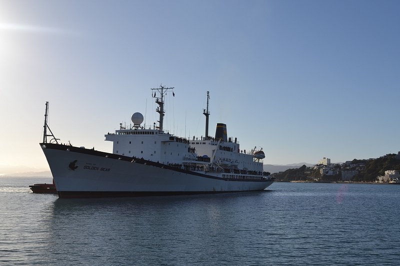 Readmore Images | Free Photos, PNG Stickers, Wallpapers & Backgrounds ...