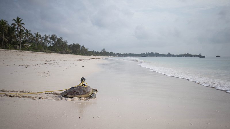 Enablement Images | Free Photos, PNG Stickers, Wallpapers & Backgrounds ...