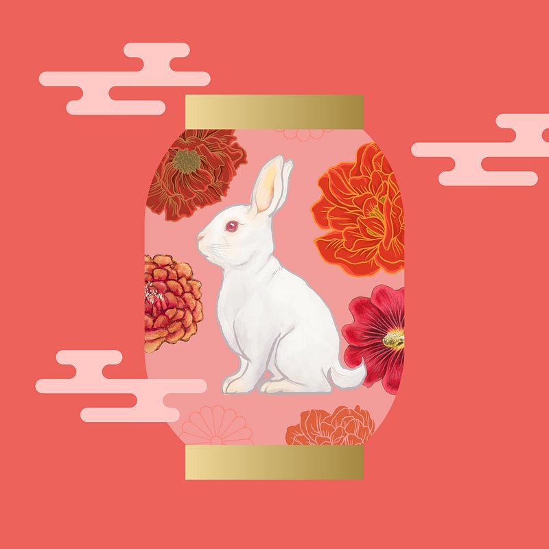 Chinese rabbit lantern, New Year | Premium Photo Illustration - rawpixel