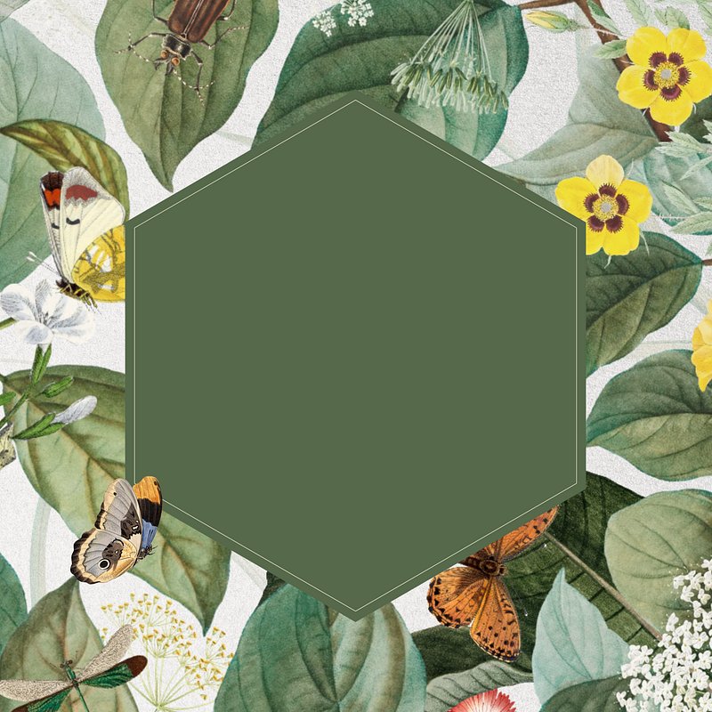 Hexagon Botanic Frame Images | Free Photos, PNG Stickers, Wallpapers ...