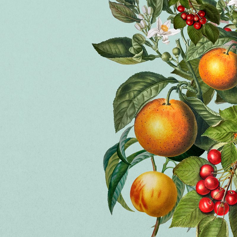 Bitter Sweet Images | Free Photos, PNG Stickers, Wallpapers ...