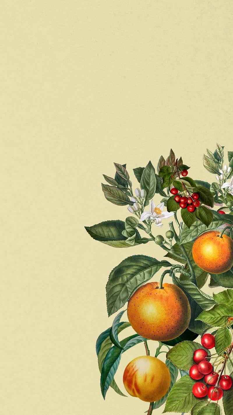 Fruits Drawing Wallpaper Images | Free Photos, PNG Stickers, Wallpapers ...