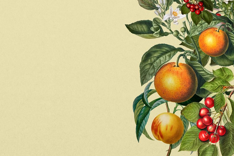 Bitter Sweet Images | Free Photos, PNG Stickers, Wallpapers ...