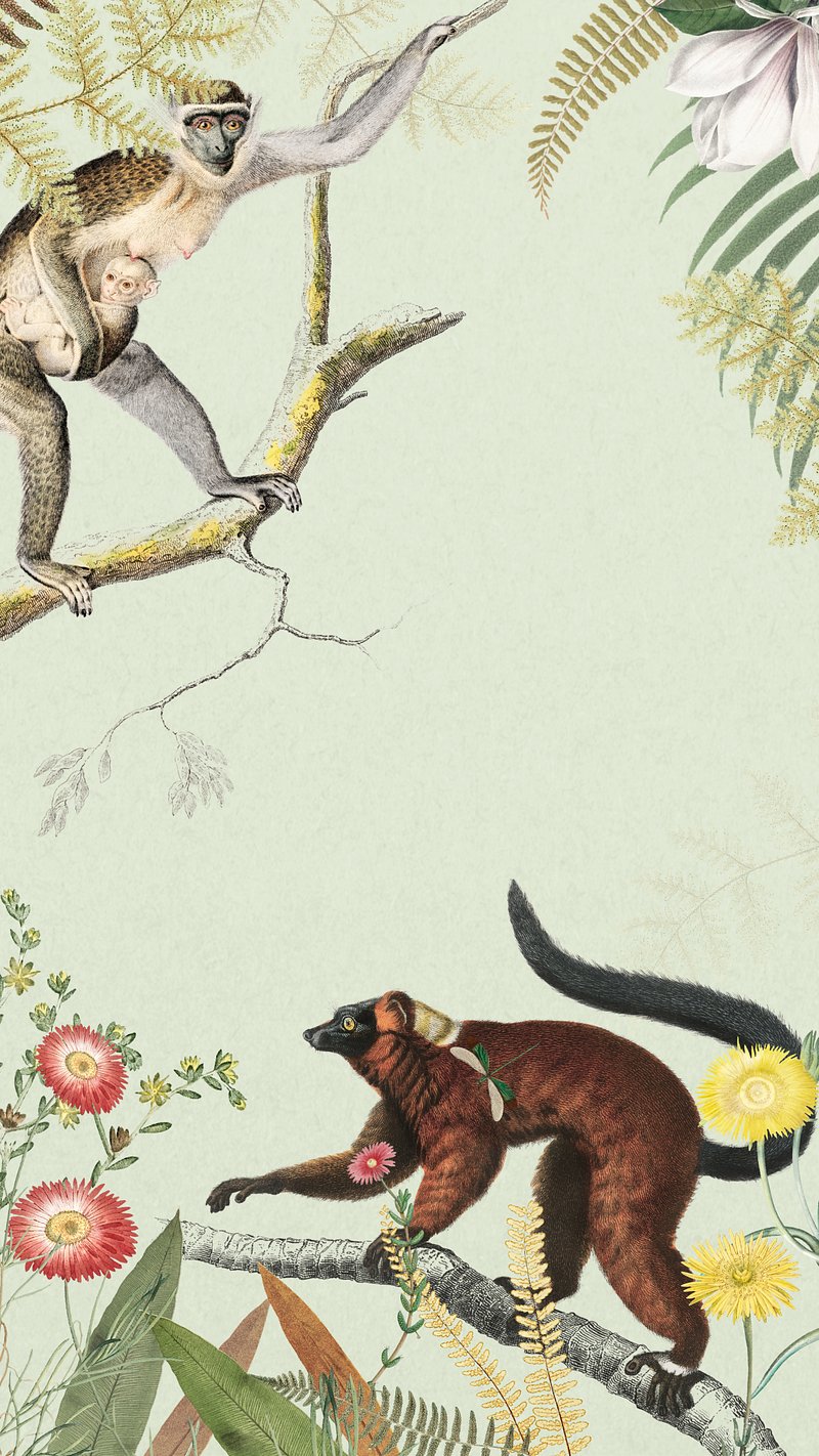 Vintage jungle monkeys mobile wallpaper, | Premium Photo - rawpixel