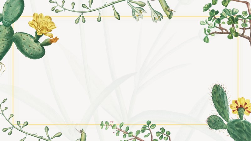 Cactus Desktop Wallpaper Images | Free Photos, PNG Stickers, Wallpapers ...