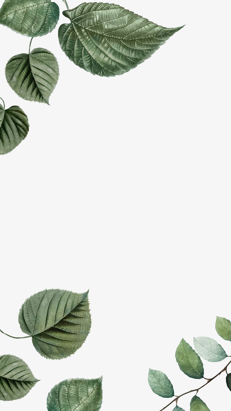 Leaf border beige mobile wallpaper | Premium Photo - rawpixel