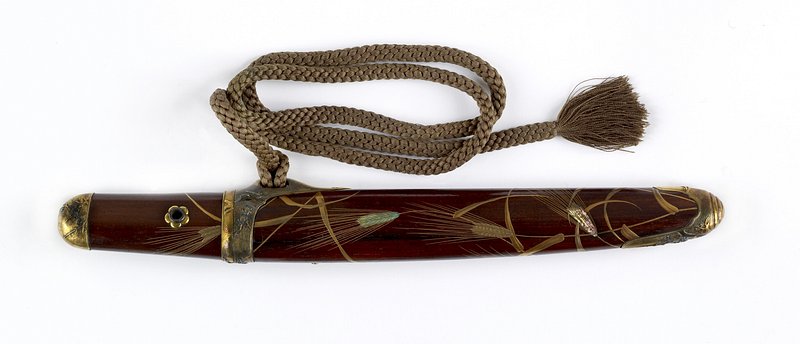 Tanto Images | Free Photos, PNG Stickers, Wallpapers & Backgrounds ...