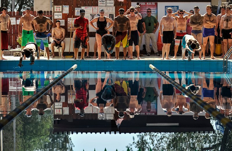 Dog Racing Images | Free Photos, PNG Stickers, Wallpapers & Backgrounds ...