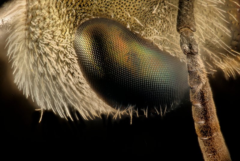 Radicals Images | Free Photos, PNG Stickers, Wallpapers & Backgrounds ...