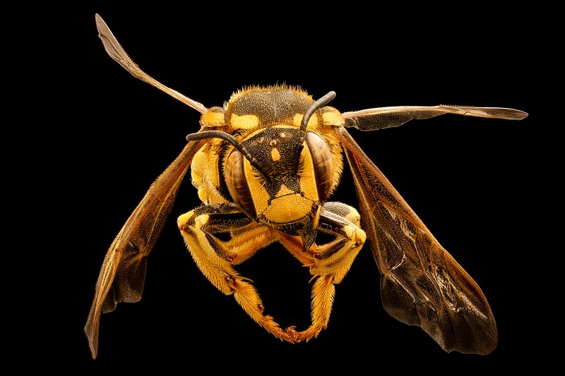 Singular Images | Free Photos, PNG Stickers, Wallpapers & Backgrounds ...