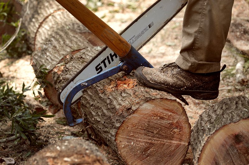 Chainsaw Logging Images | Free Photos, PNG Stickers, Wallpapers ...