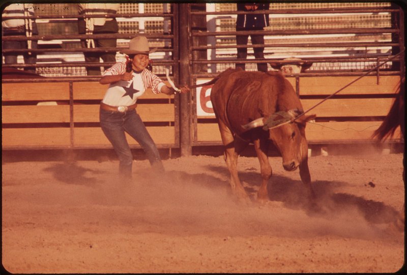 "Junior rodeo" is sponsored by the Parker | Free Photo - rawpixel