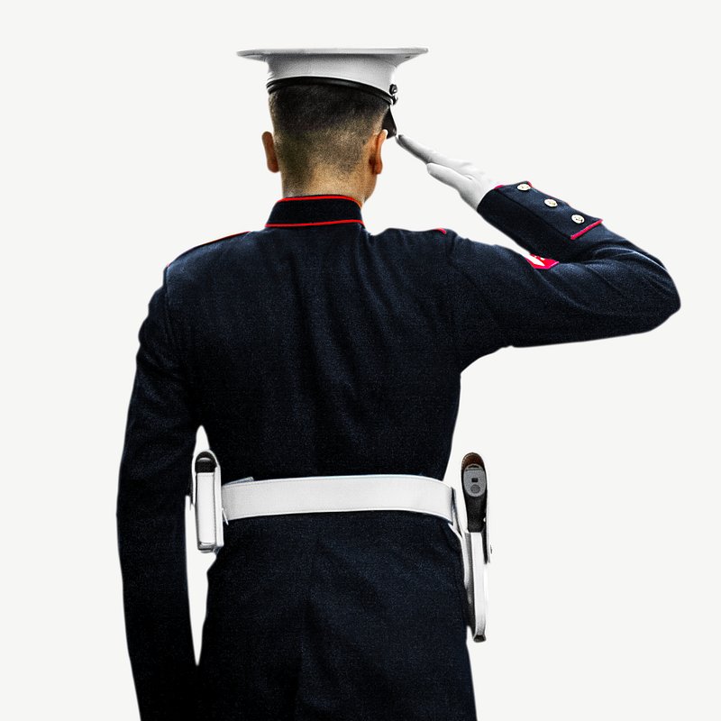 Soldier Saluting Images | Free Photos, PNG Stickers, Wallpapers ...