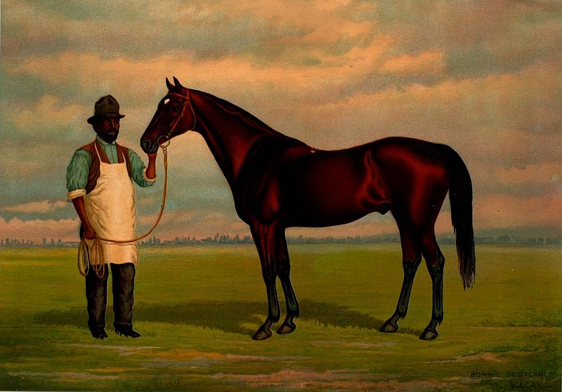 Handler Images | Free Photos, PNG Stickers, Wallpapers & Backgrounds ...