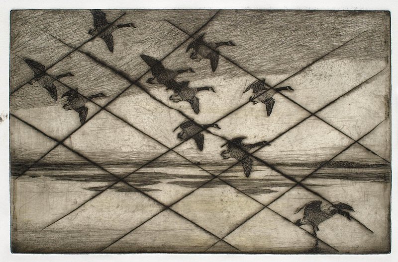 Weston Photo Images | Free Photos, PNG Stickers, Wallpapers ...