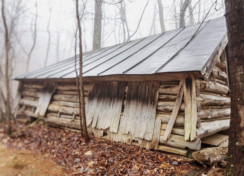 Abandoned cabin in the forest. | Free Photo - rawpixel