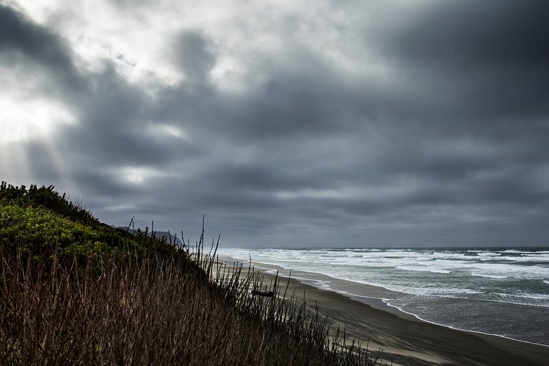Tillicum Beach, Oregon. | Free Photo - rawpixel