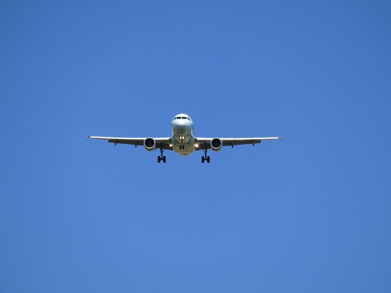 The plane boss, the plane!. | Free Photo - rawpixel