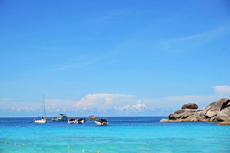 Free public domain CC0 photo. | Free Photo - rawpixel