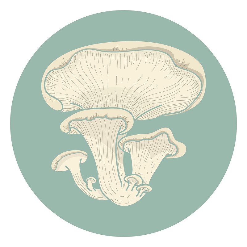 Vector of a mushroom | Free Photo - rawpixel